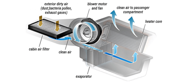 What is a Blower Motor?
