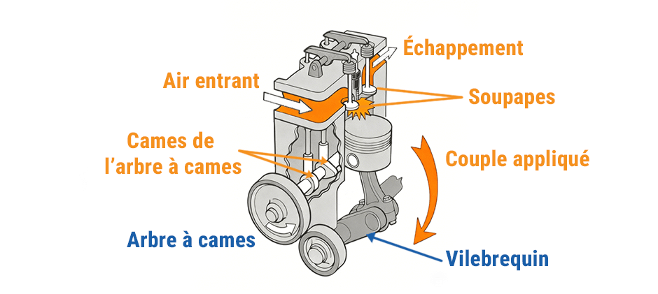 Arbre à Cames VS Vilebrequin : Quelles sont les différences